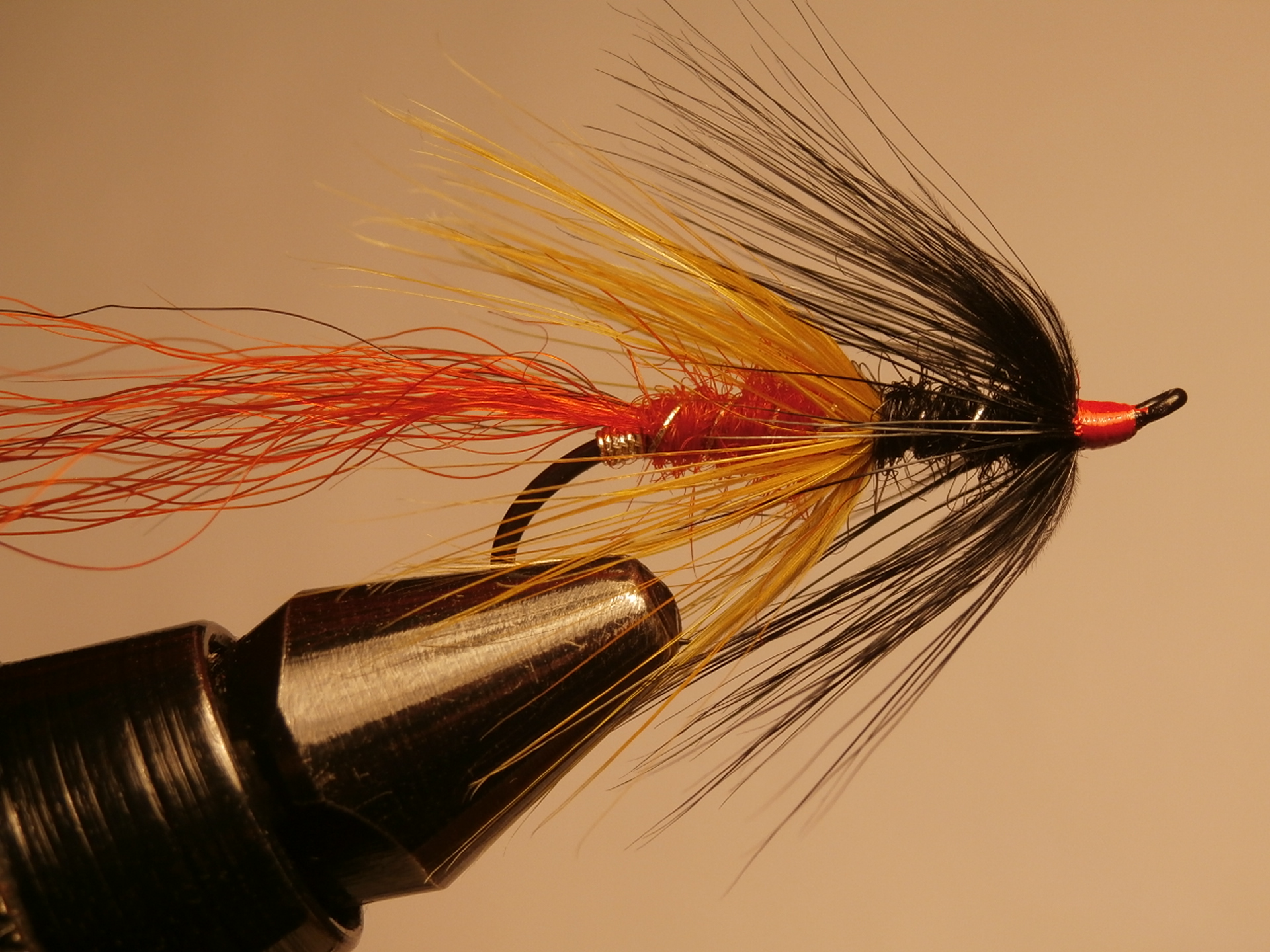 Golden Olive Shrimp – Claretbumbler