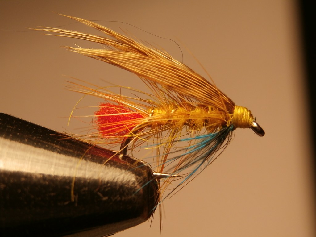 Invicta variants – Claretbumbler