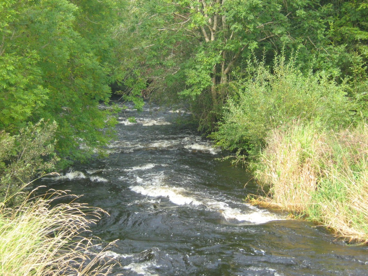 The Manulla river – Claretbumbler