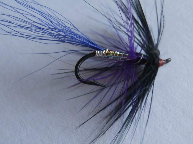 A purple shrimp pattern – Claretbumbler