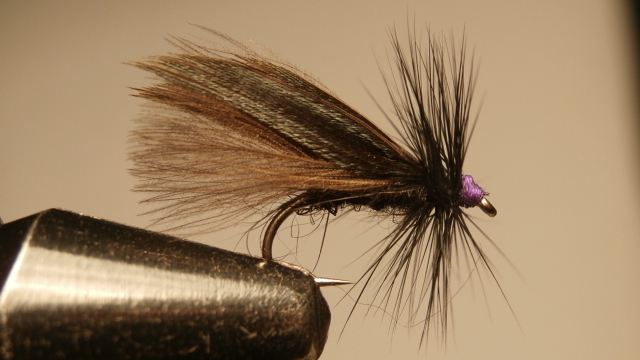 That Black Sedge I was on about….. – Claretbumbler