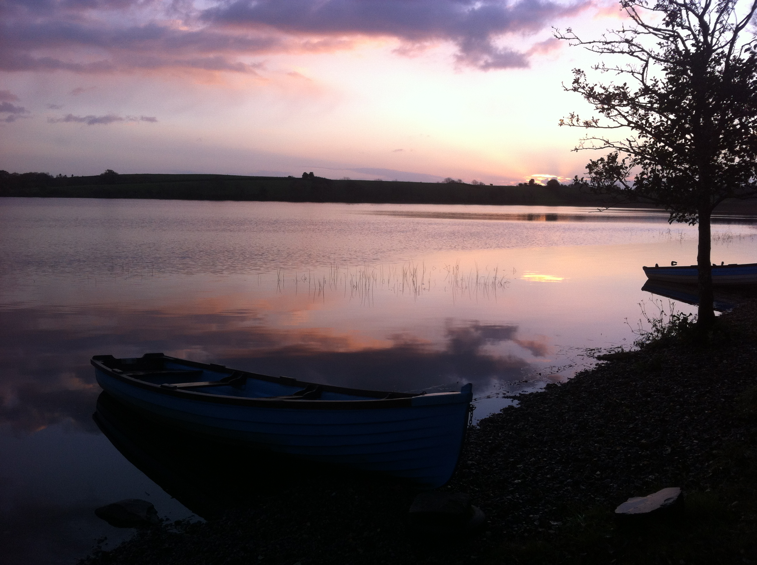 Bilberry lake restocked – Claretbumbler