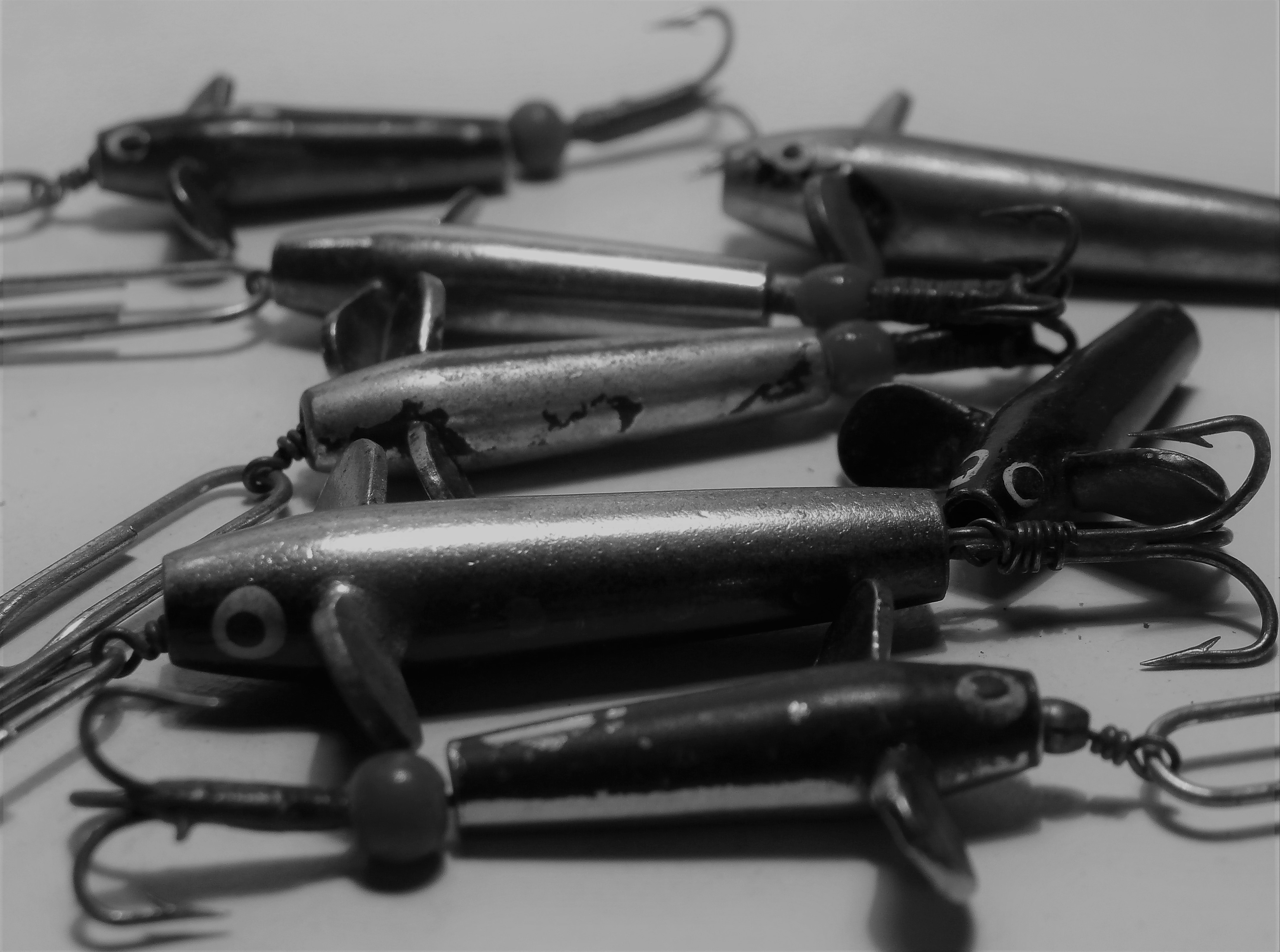 Small devons – Claretbumbler