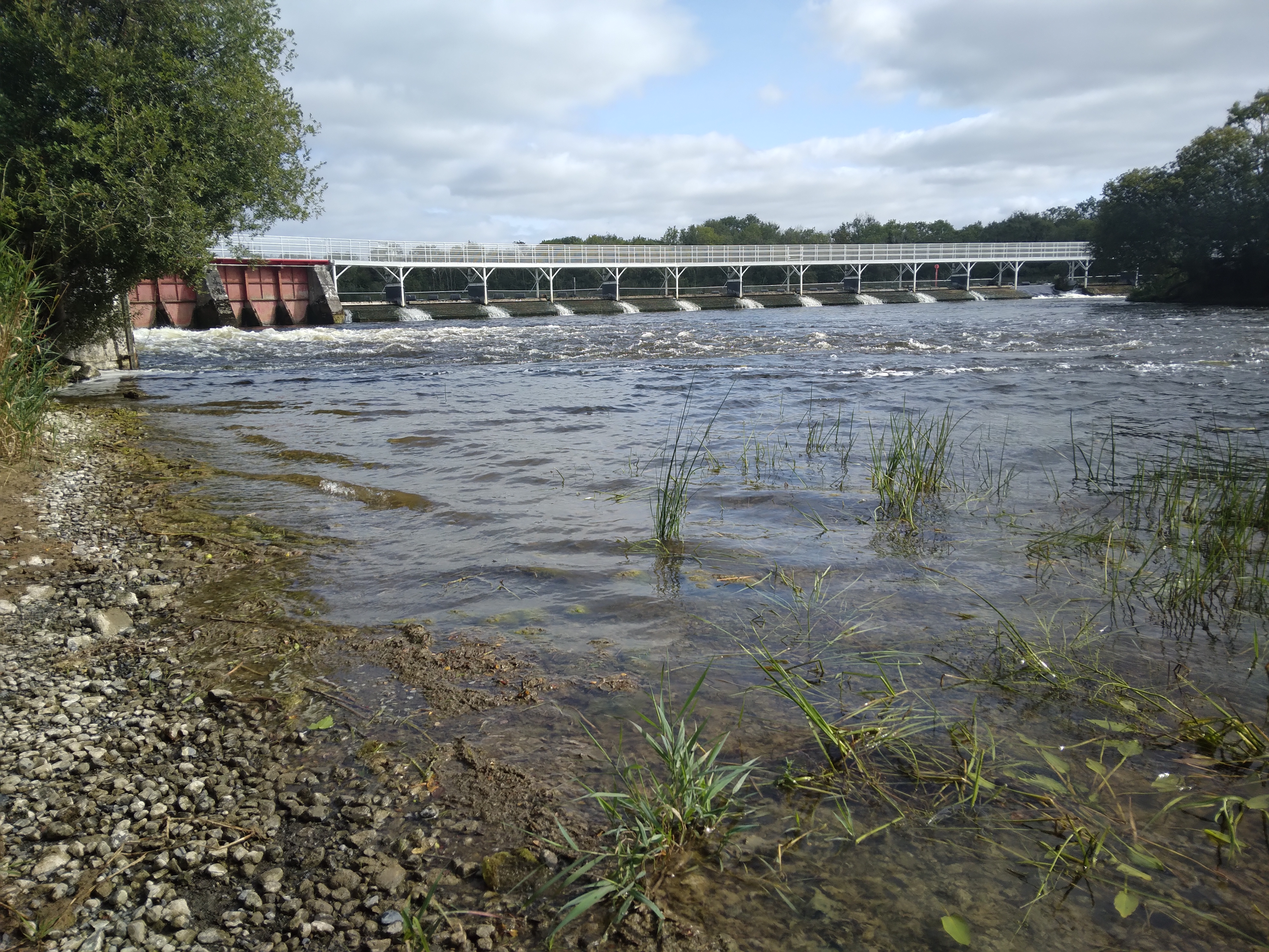 Meelick – Claretbumbler