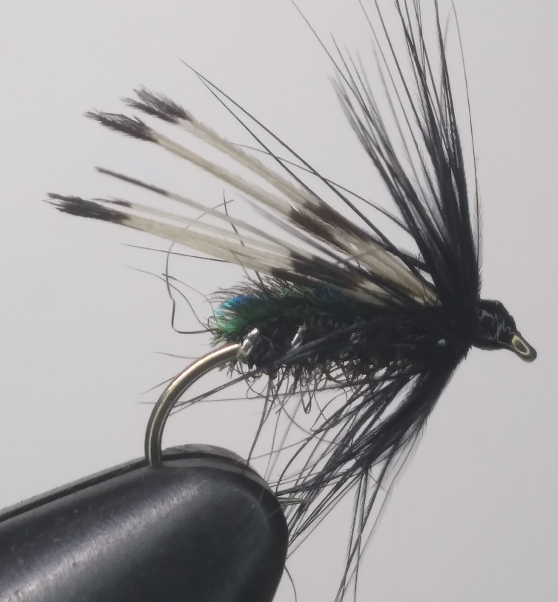 Mulranny Pig – Claretbumbler